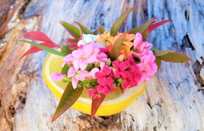 Damendüfte mit blumig-frischen Noten für einen heißen Sommer - BeautyMay